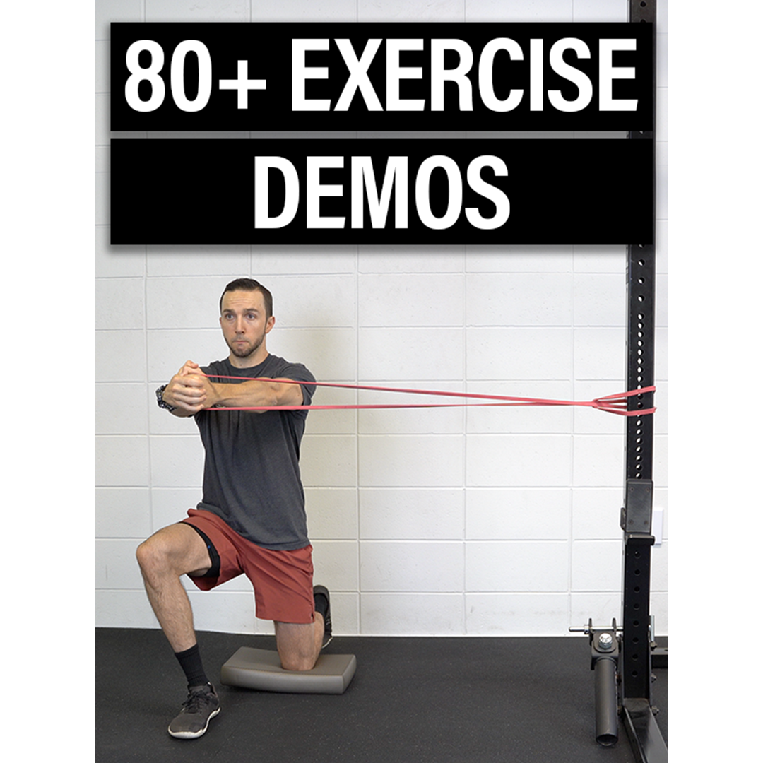 Low Back Resilience – E3 Rehab